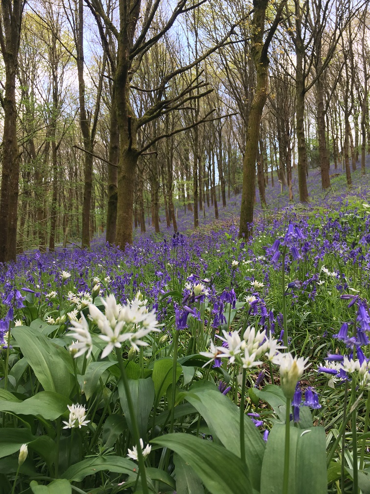 7 May – Leconfield Fly Fishing Club